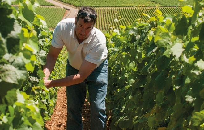 Domaine François Carillon - Dr Wine